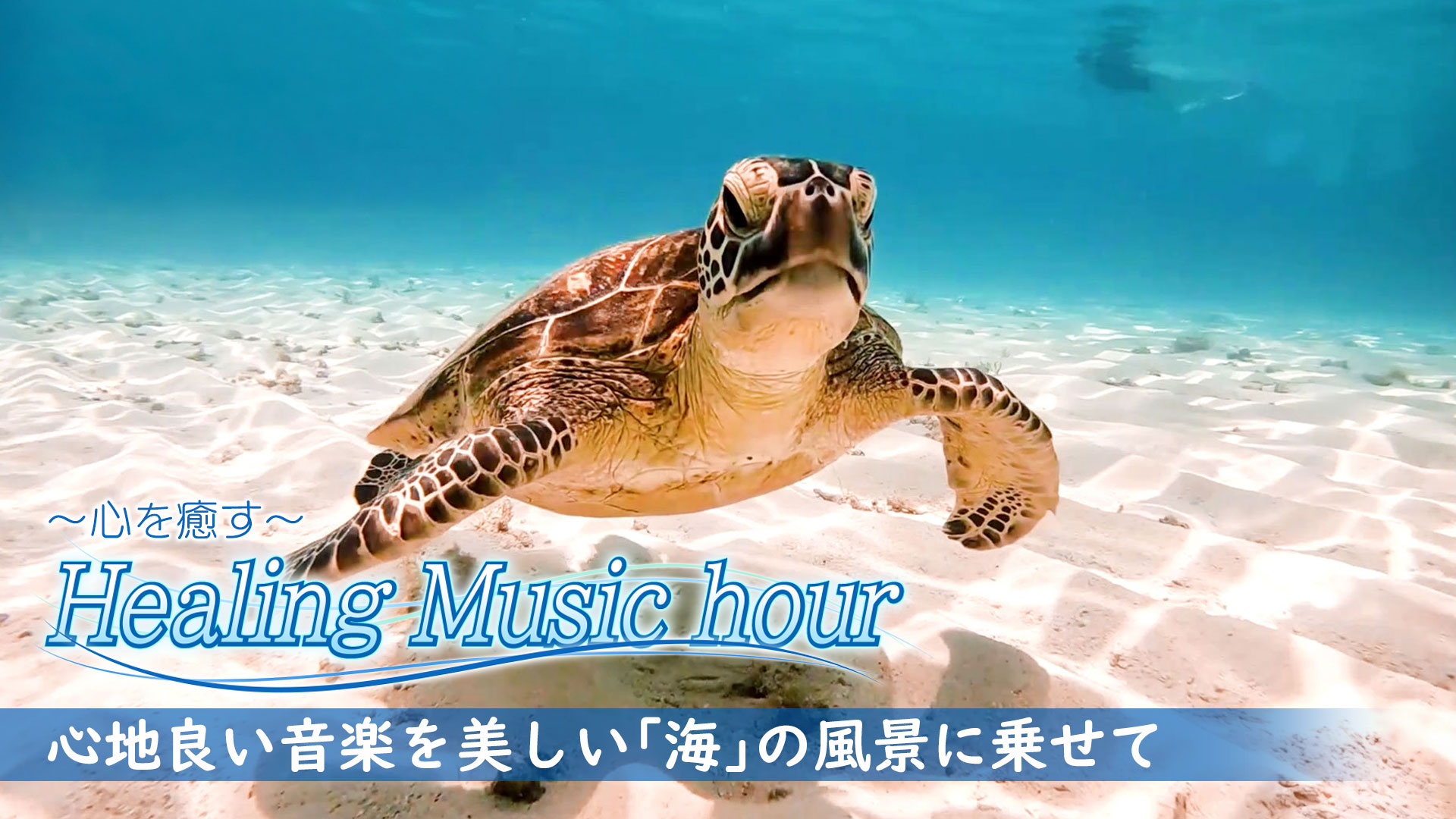 #1「Sea～海の風景～」 | Healing Music hour | ネットでBS見逃し配信・レンタル・見放題プラン | BS11 ...