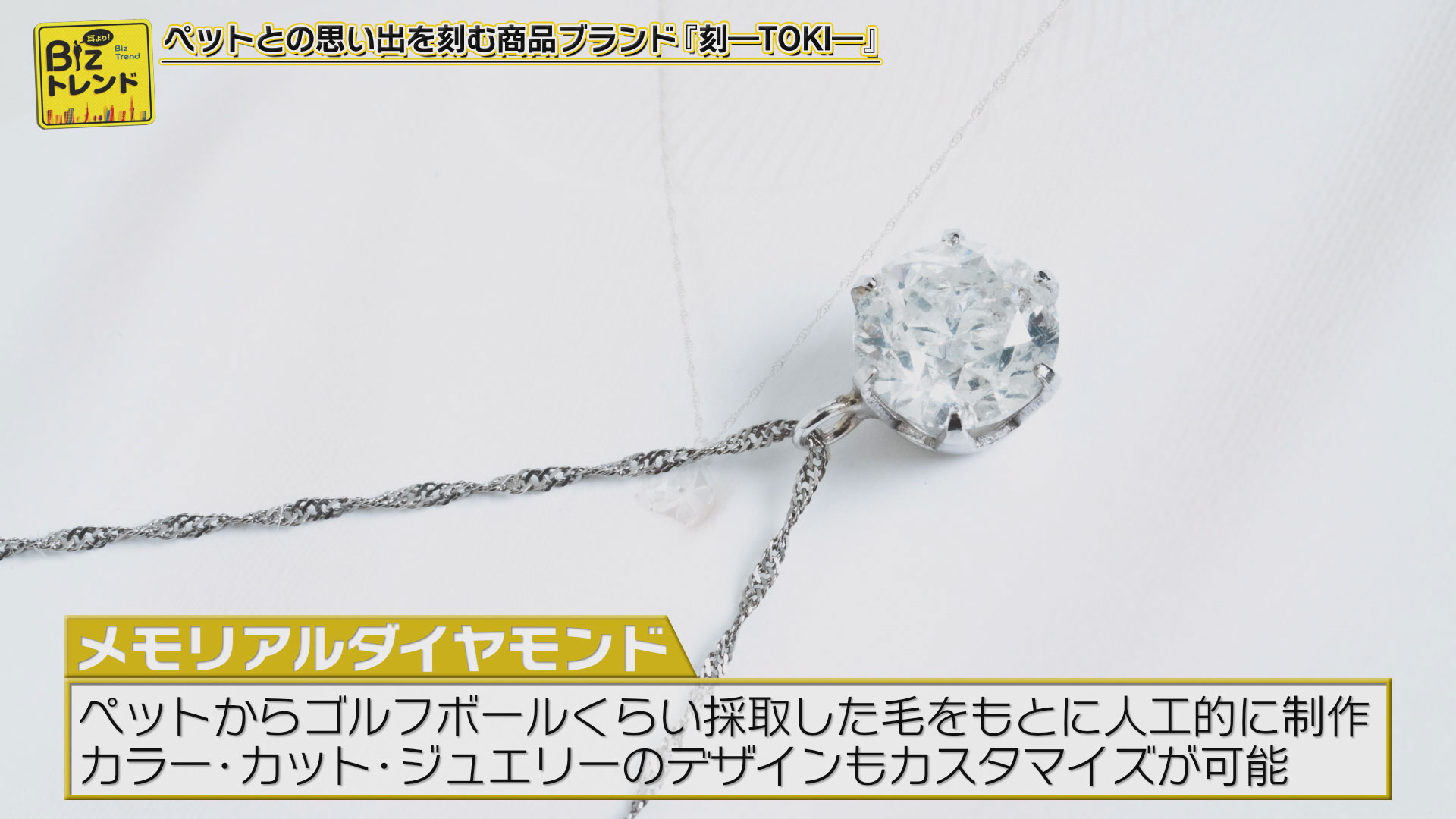 刻ーTOKI』を運営するVILADY（ビレディ）をご紹介」 | 耳より！Bizトレンド | ネットでBS見逃し配信・レンタル・見放題プラン | BS11+(BS11プラス)